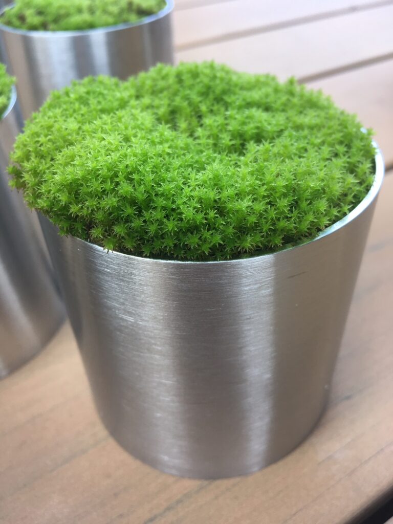 Vert métal - Les Pages Vertes